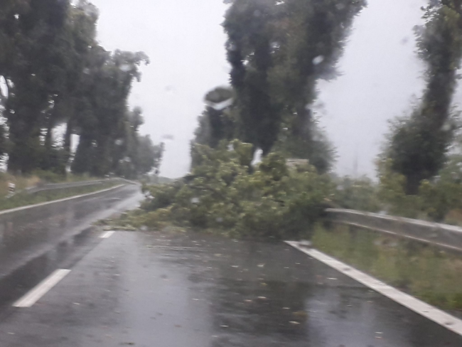 Búrka dorazila aj nad západné Slovensko. Na juhovýchode vyvracala ...