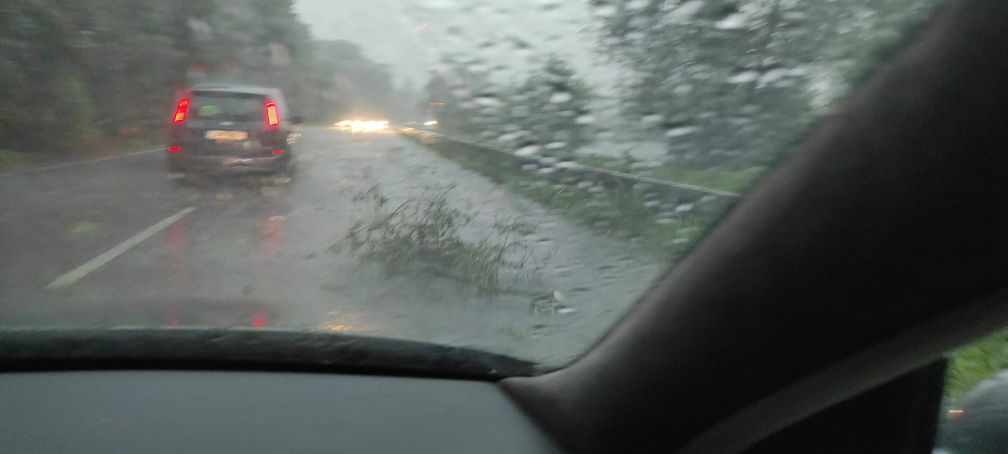 FOTO: BÚRKY na severe vyvracajú stromy. Hasiči majú desiatky výjazdov ...