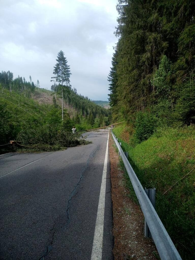 Padali stromy. Búrka s vetrom napáchala najväčšie škody na strednom ...