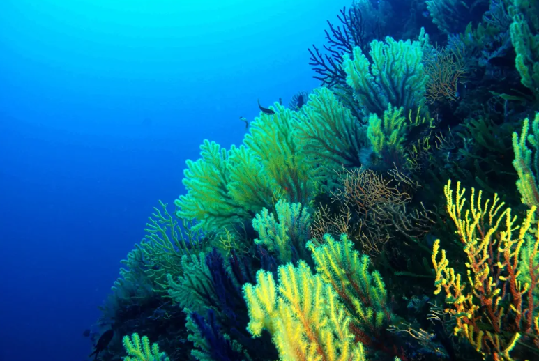 Takmer 2 000 zemetrasení za jeden deň. Dno oceánu sa trhá | iMeteo.sk