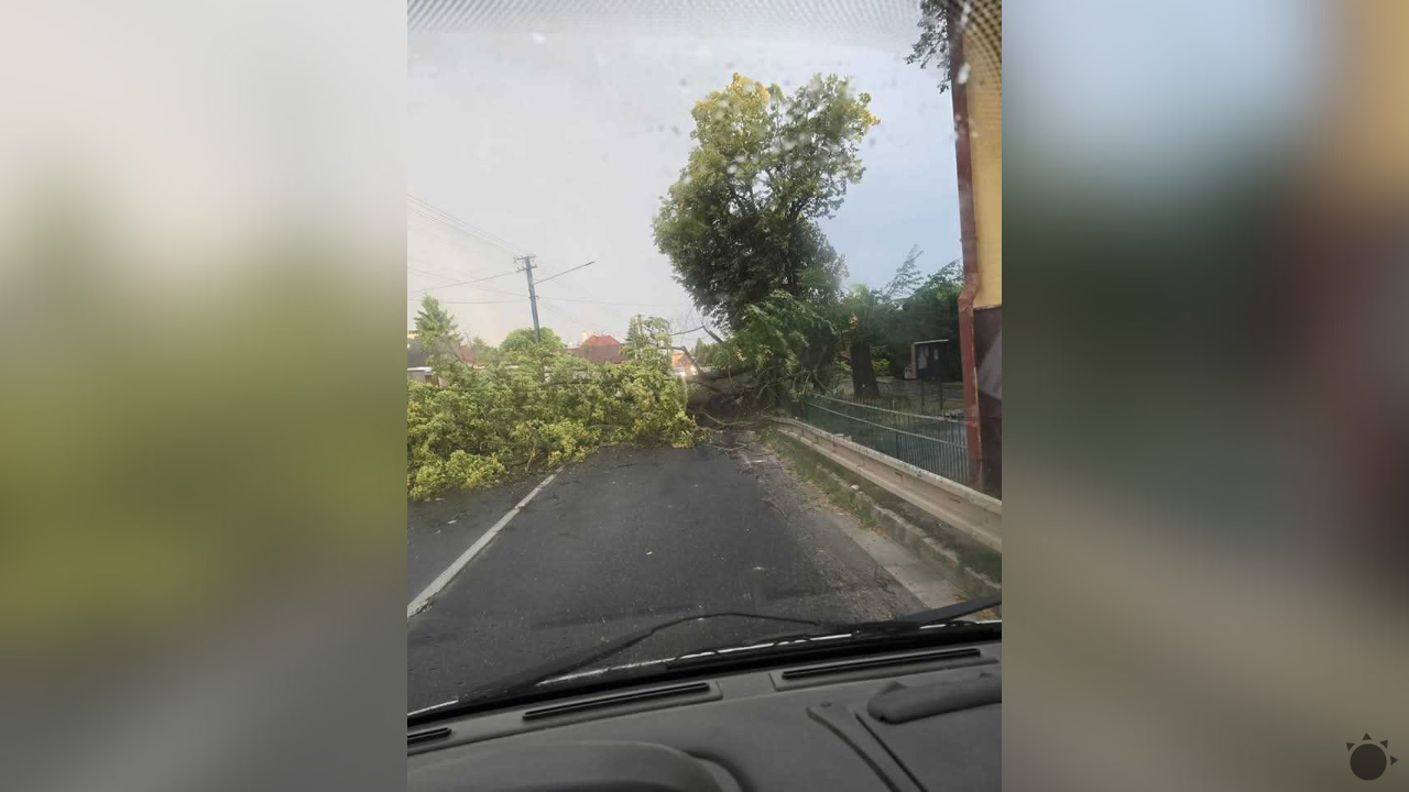 FOTO: Silný vietor láme stromy a strháva strechy. Zo západného Slovenska hlásia škody | iMeteo.sk