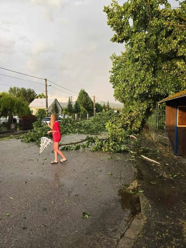FOTO: Silný vietor láme stromy a strháva strechy. Zo západného Slovenska hlásia škody | iMeteo.sk