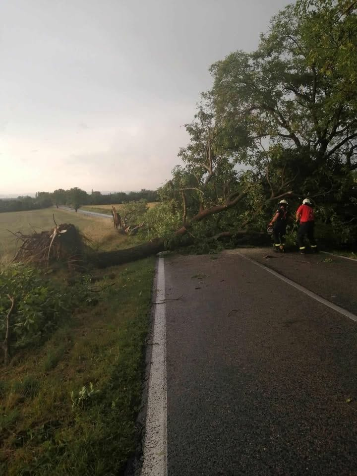 FOTO: Silný vietor láme stromy a strháva strechy. Zo západného Slovenska hlásia škody | iMeteo.sk