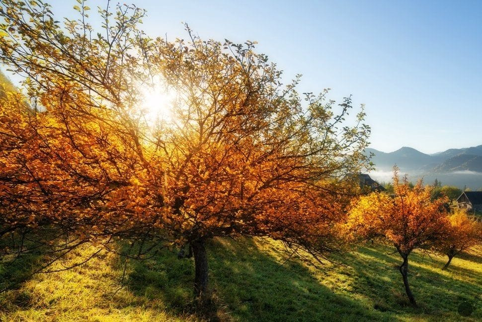 Víkend bude teplý. Prečo však nemôžeme povedať, že ide o BABIE LETO ...