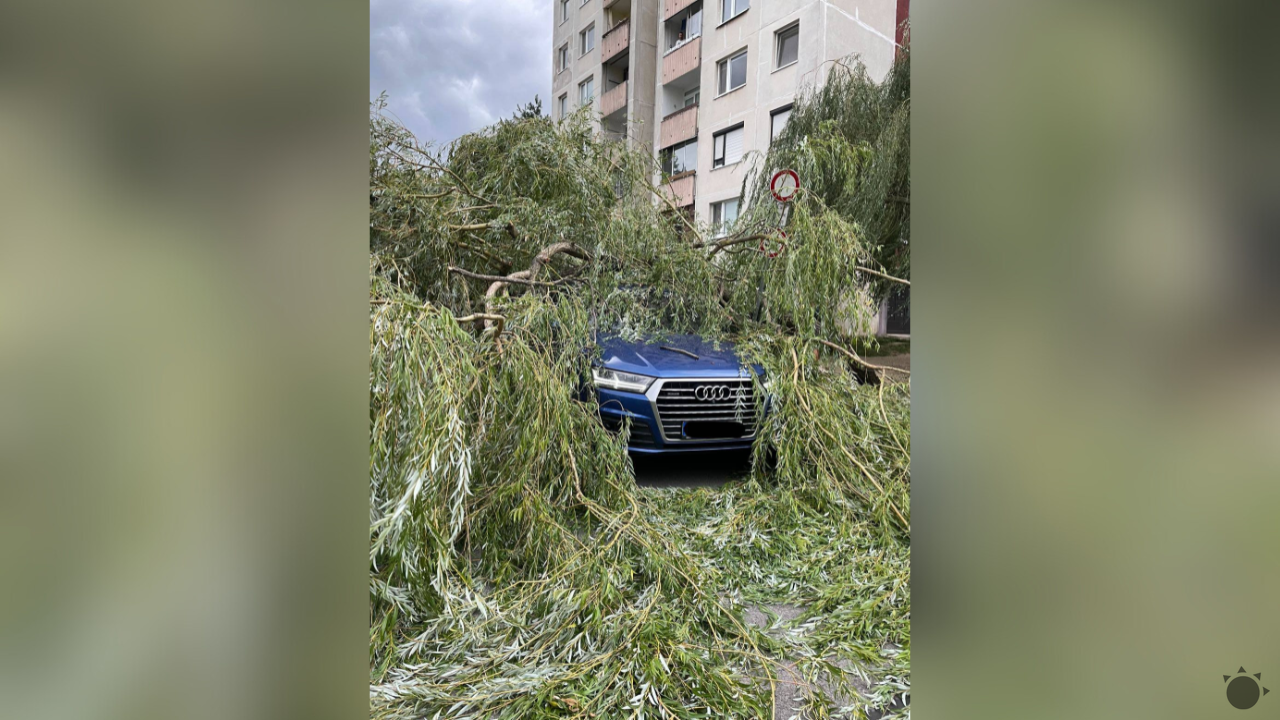 Silný vietor v Košiciach lámal stromy. Poškodil niekoľko áut | iMeteo.sk