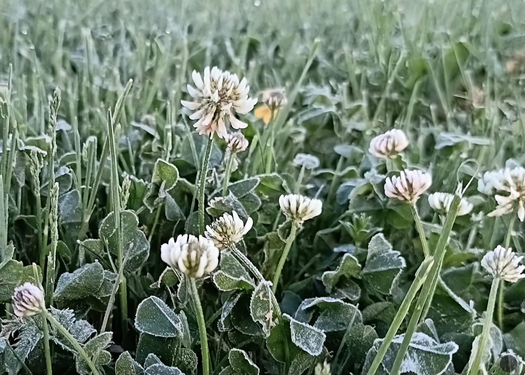 Slovensko zažilo studené ráno. Teplota klesla k 0 °C. Kde bolo ...