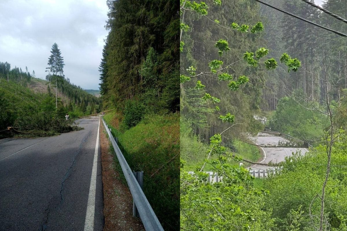 Padali stromy. Búrka s vetrom napáchala najväčšie škody na strednom ...