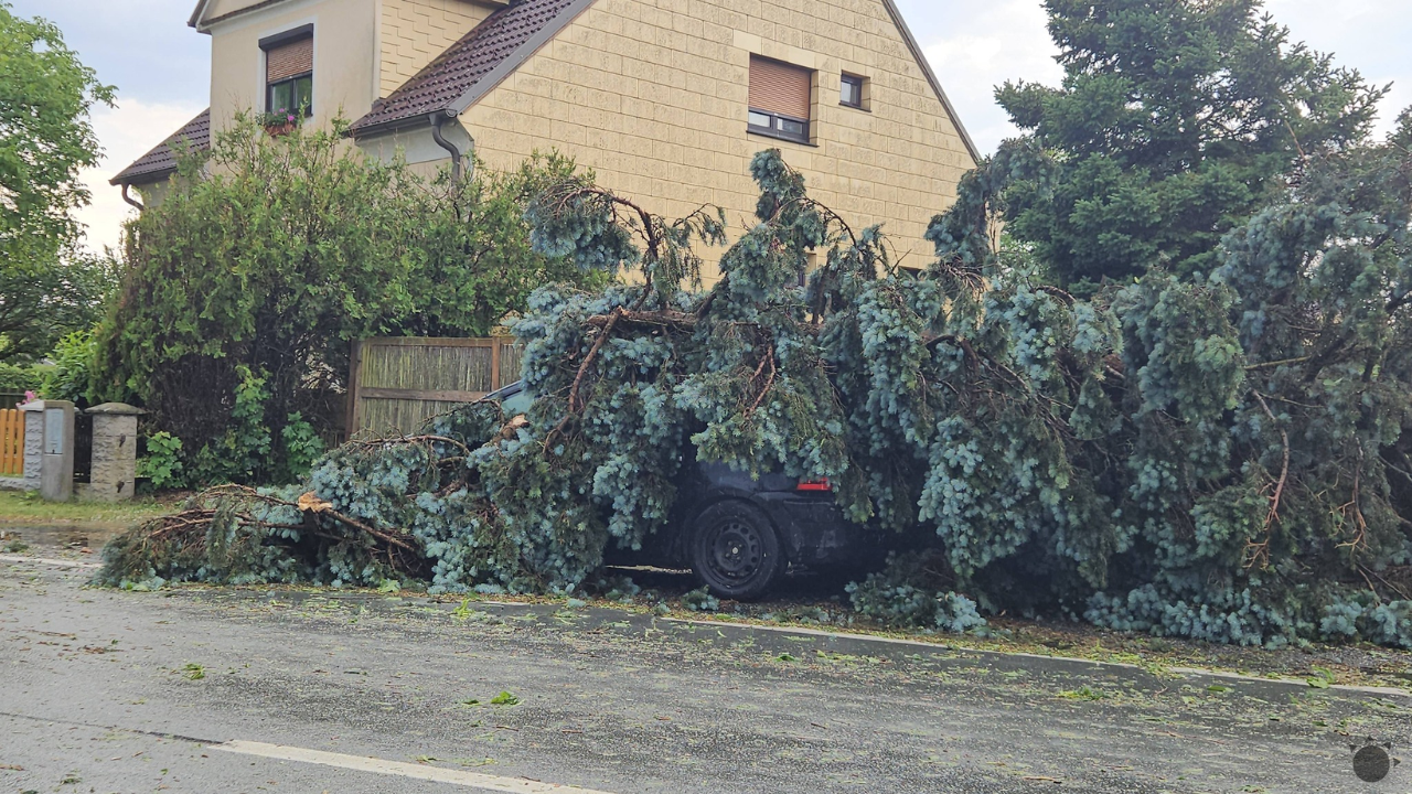 VIDEO: Búrky za hranicami páchali škody. Vietor lámal stromy | iMeteo.sk