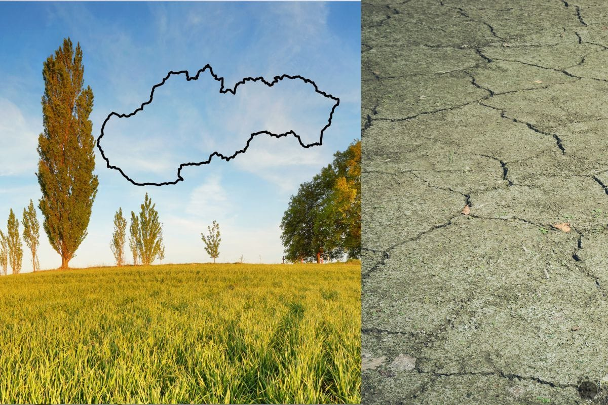 Meteorológovia varujú, že leto 2026 môže byť najhoršie. Slovensku hrozí ...