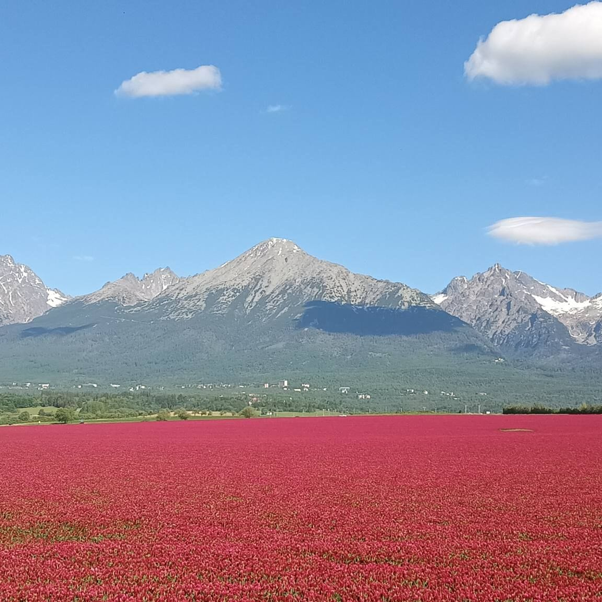 Počasie na dnes 27.5.2026 (streda) | iMeteo.sk